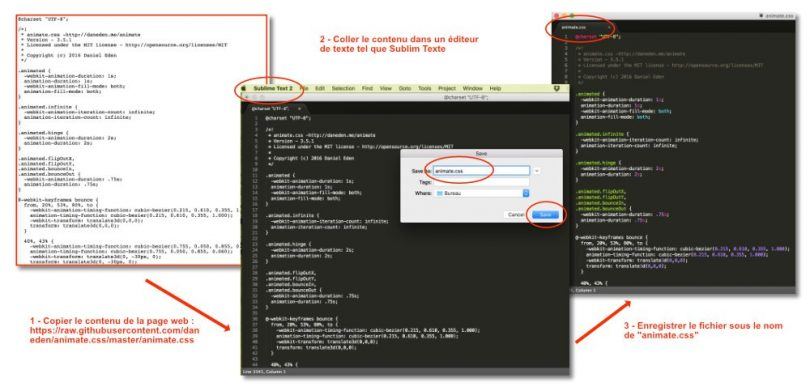 Intégrer des animations dans WordPress avec Animate.css Intégrer des animations dans WordPress avec Animate.css