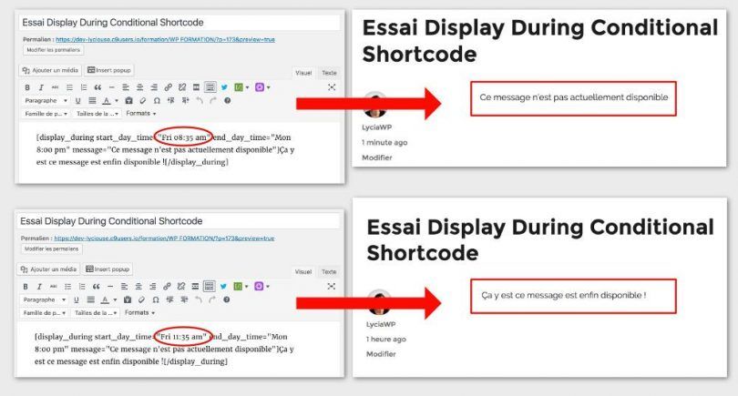 Des SHORTCODES très utiles pour votre WordPress