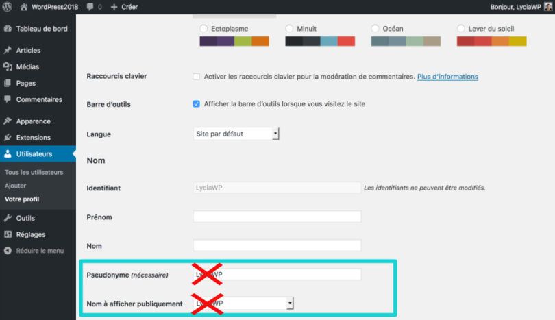 Comment utiliser et customiser la page de connexion WordPress