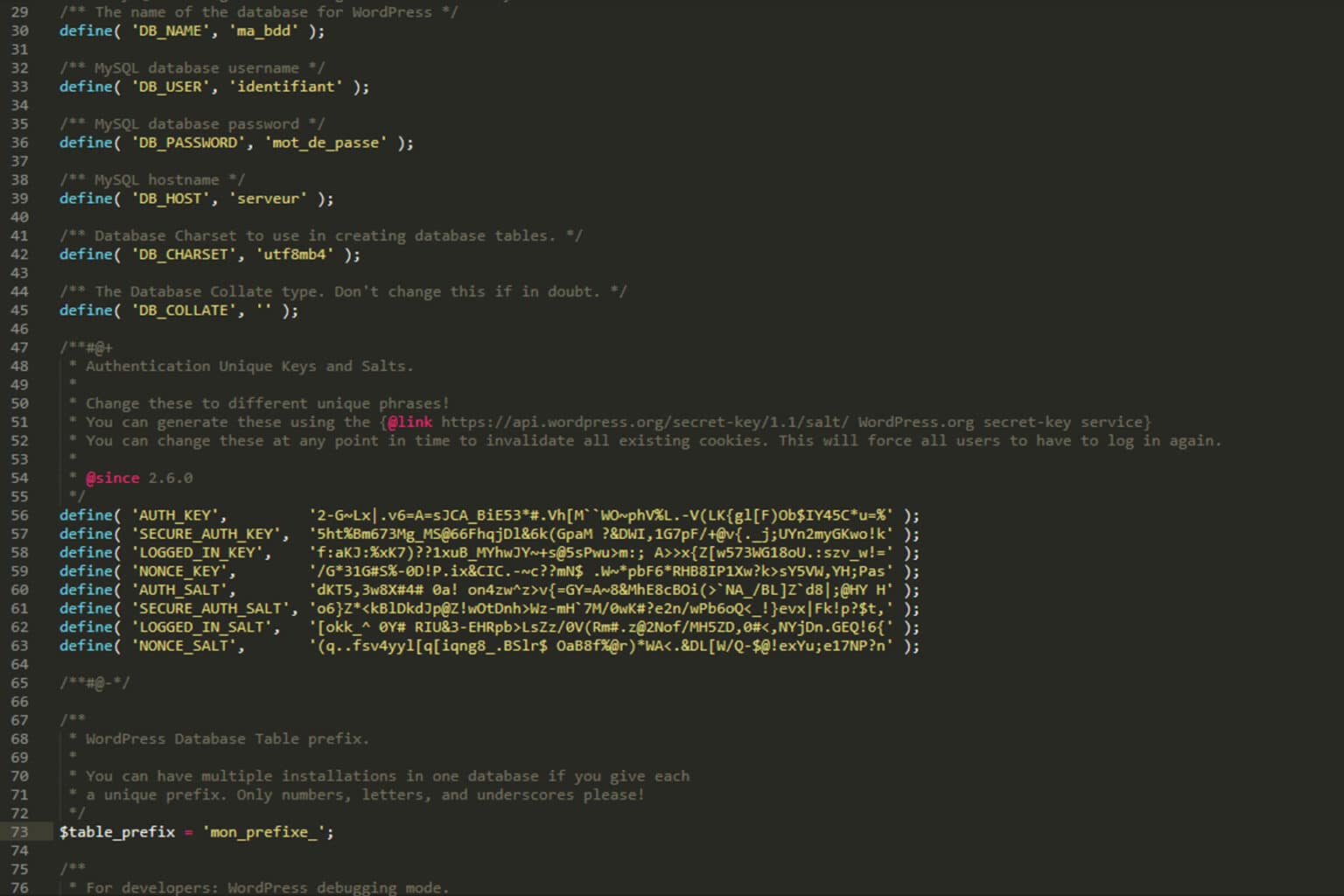 wp-config.php & functions.php fichiers WordPress essentiels