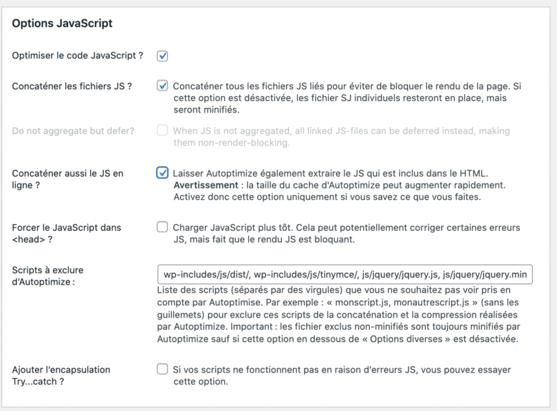 Review Complète Du Plugin WordPress Autoptimize