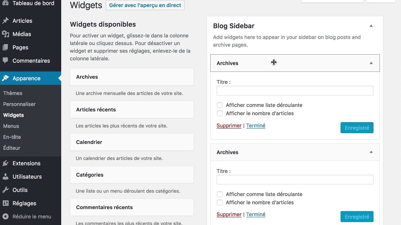 WIDGETS WordPress : Le Guide Complet. On Vous Dit Tout